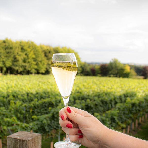 Bluestone Vineyards | Wiltshire's Finest English Sparkling Wine